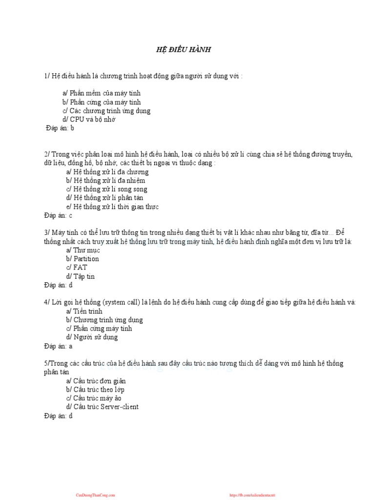 He Dieu Hanh Tran Thi Nhu Nguyet Lythuyettracnghiem 0 (Cuuduongthancong ...