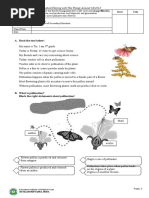 Pollination Worksheet Stage 5 Worksheet | PDF | Pollination | Science