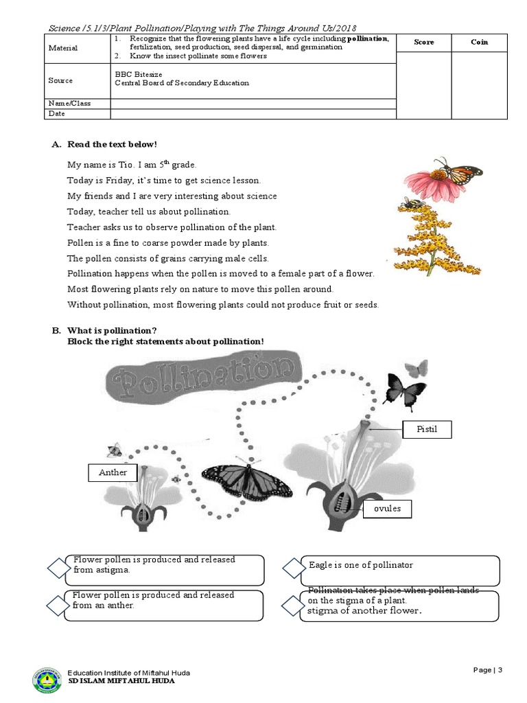 Worksheet Science Kelas 5 Ke 3 | PDF | Pollination | Flowers