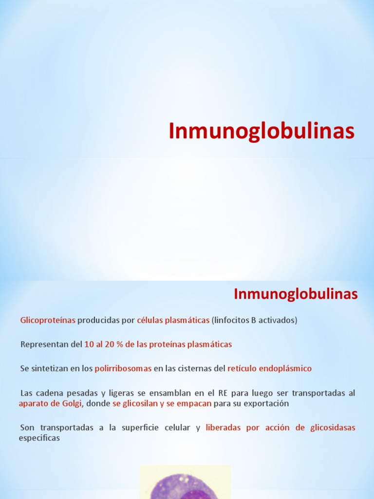 Estructura Y Función De Inmunoglobulinas Pdf Anticuerpo