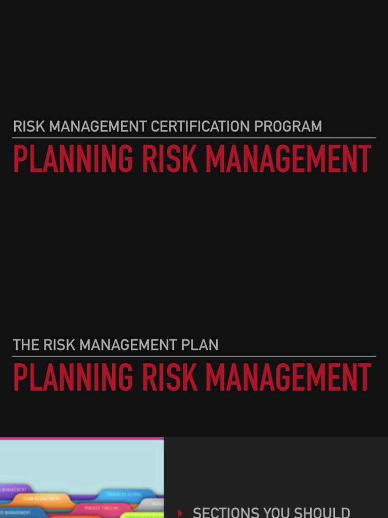 The Risk Management Plan | PDF