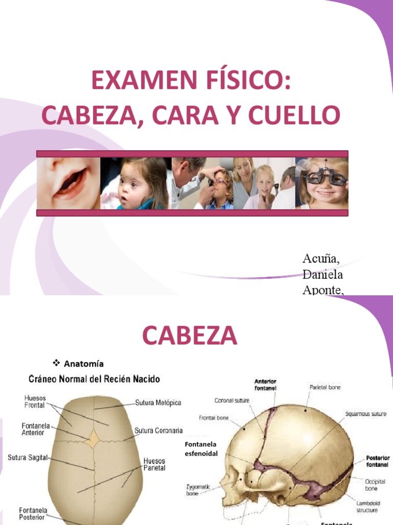 Examen físico integral del recién nacido y lactante | PDF | Cráneo | Cabeza y cuello humanos