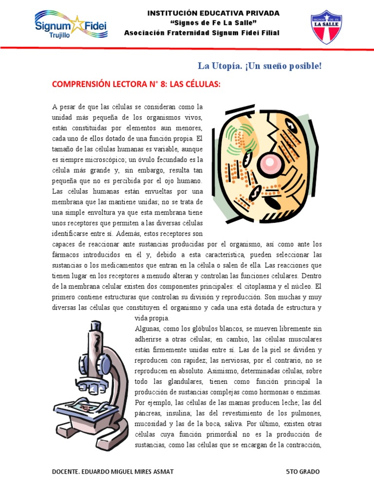 Comprensión Lectora #8 - Las Célular | PDF | Biología Celular ...