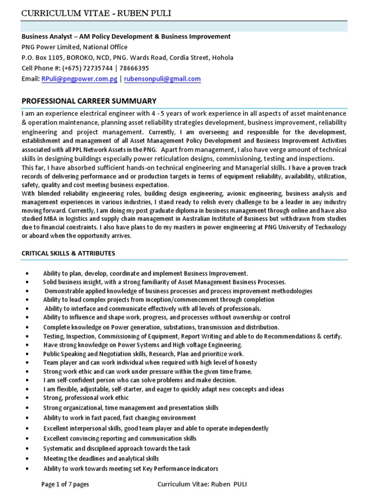 Updated CV 2022 Ruben Puli | PDF | Reliability Engineering | Audit