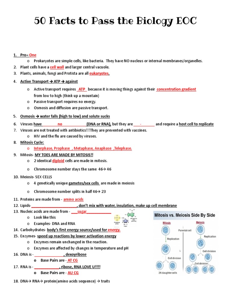 50 Facts To Pass The Biology EOC | PDF | Cell (Biology) | Mitosis