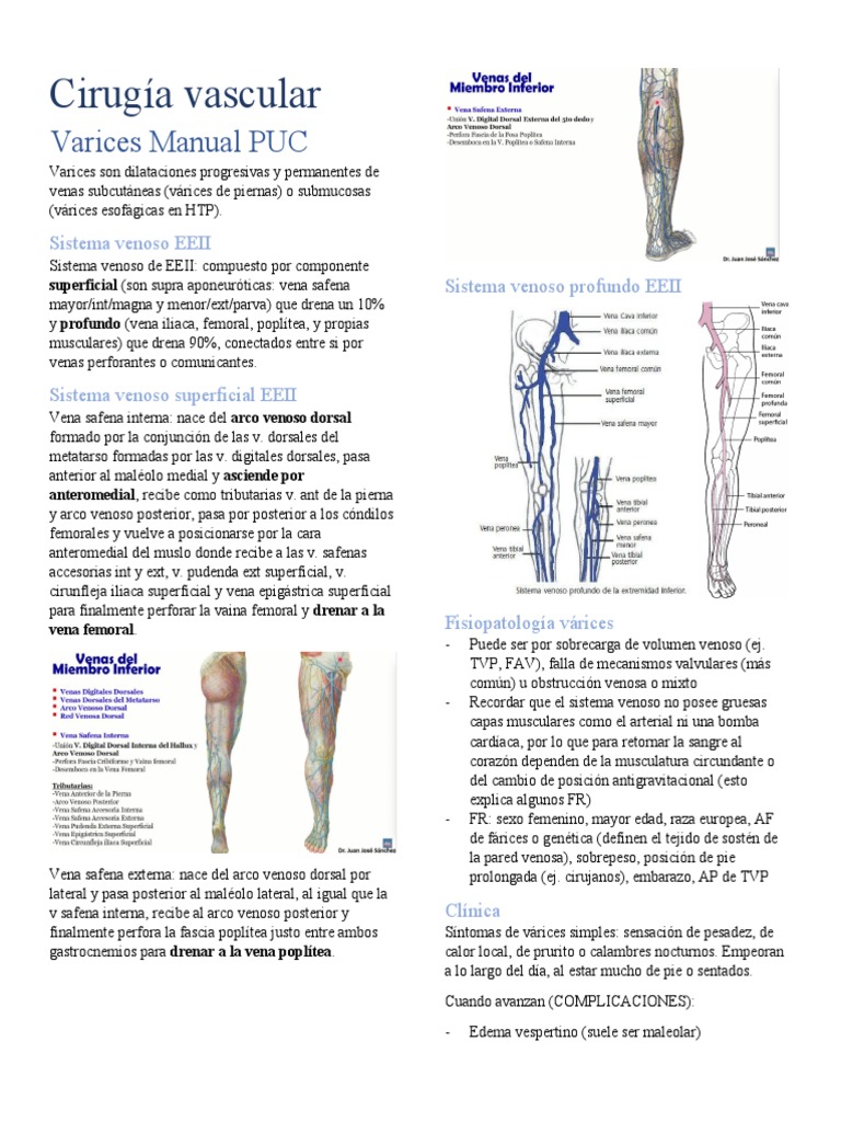 Cirugía Vascular Manual CX PUC | PDF | Venas varicosas | Vena