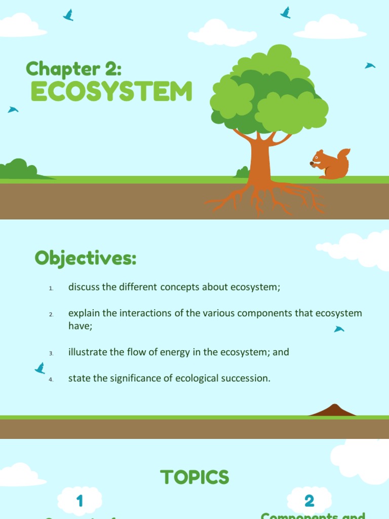 Ecosystem | PDF | Ecosystem | Ecology