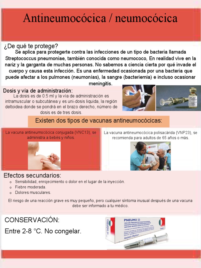 Infografia de Neumocócica | PDF | Vacunas | Inyección (medicina)
