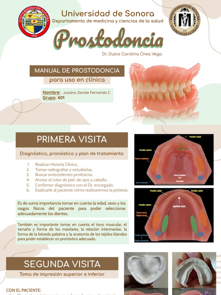 Prostodoncia - Fernanda Juzaino | PDF | Diente | Anatomia dental