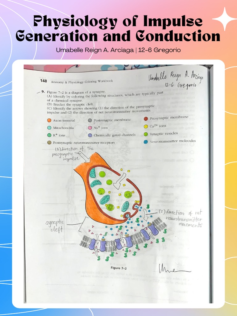 Impulse Generation and Conduction | PDF | Wellness