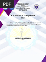 Intake Sheet - Template | PDF | Misconduct | Social Institutions