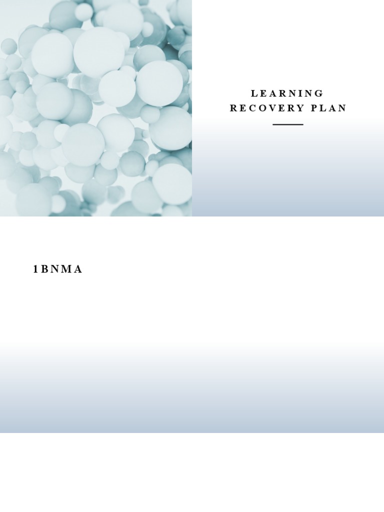 Learning Recovery Plan | PDF