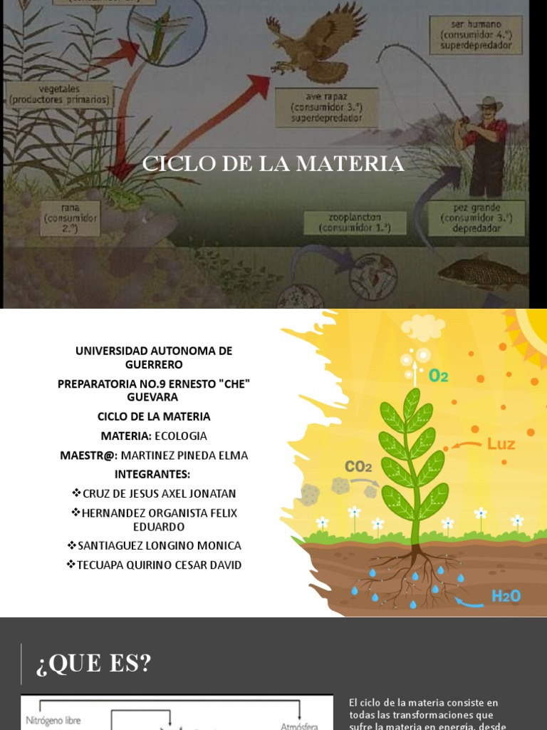 Ciclo de La Materia | PDF | Tierra | Ecología