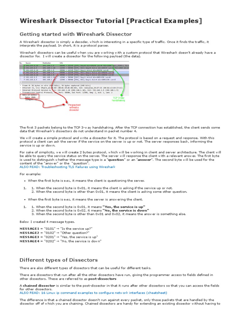 Wireshark Dissector Tutorial Practical Examples Pdf Port Computer Networking