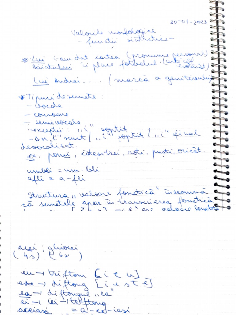 Gramatica Clasa A Vii-A Ollr (Partea 1) | PDF