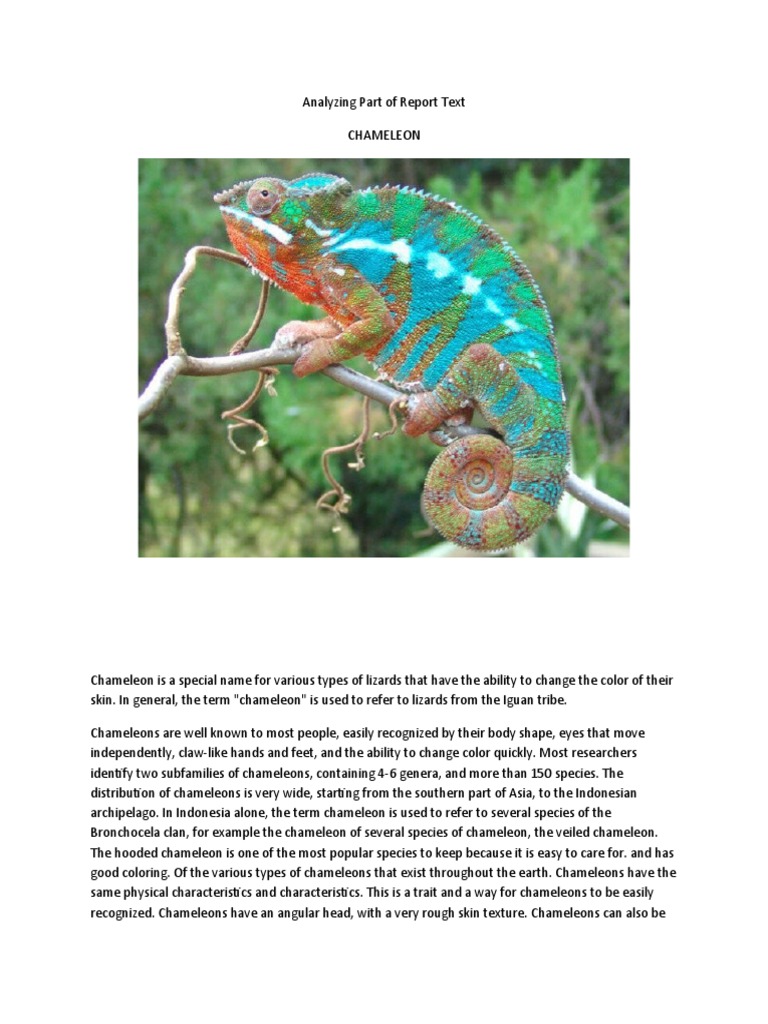 Analyzing Part-WPS Office | PDF | Lizard | Organisms