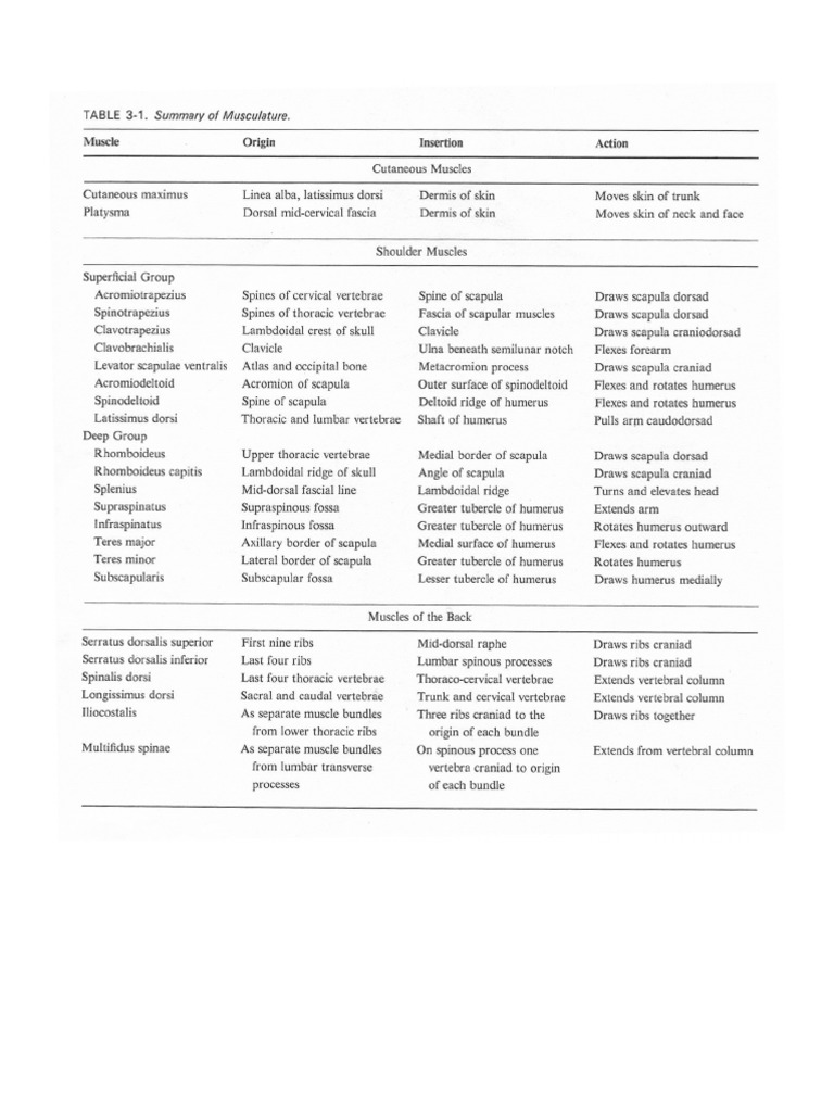OIA Cheat Sheet | PDF