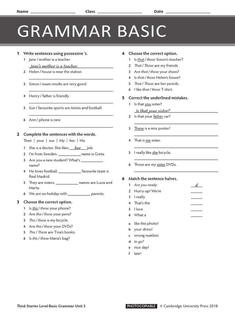 Unit 3 - Grammar - Basic | PDF