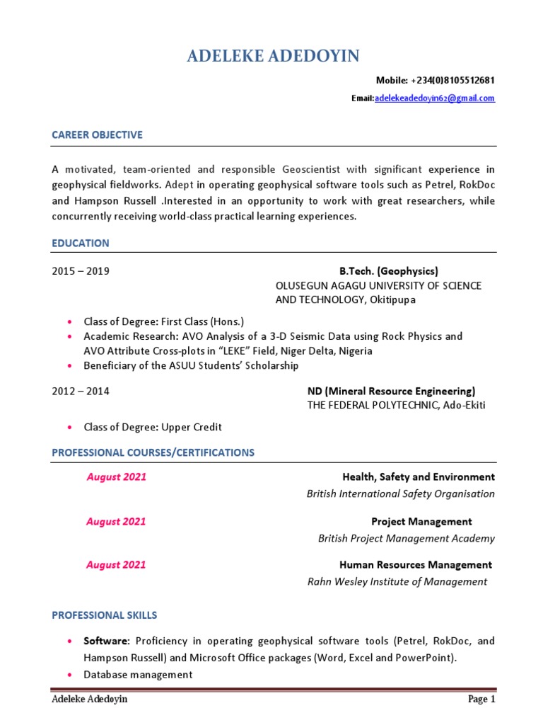A CV ADELEKE ADEDOYIN | PDF | Nigeria | Cognition
