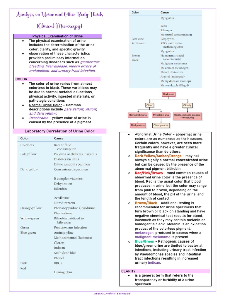 Aubf Reviewer | PDF | Urine | Kidney