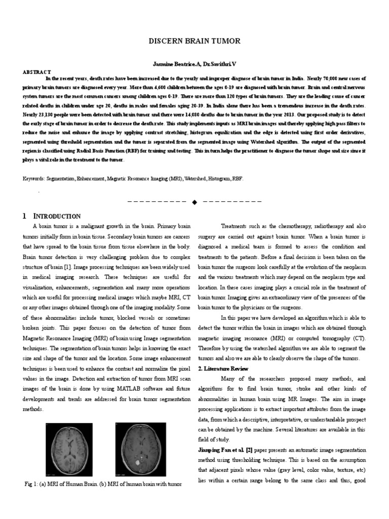 Discern Brain Tumor | PDF | Image Segmentation | Medical Imaging