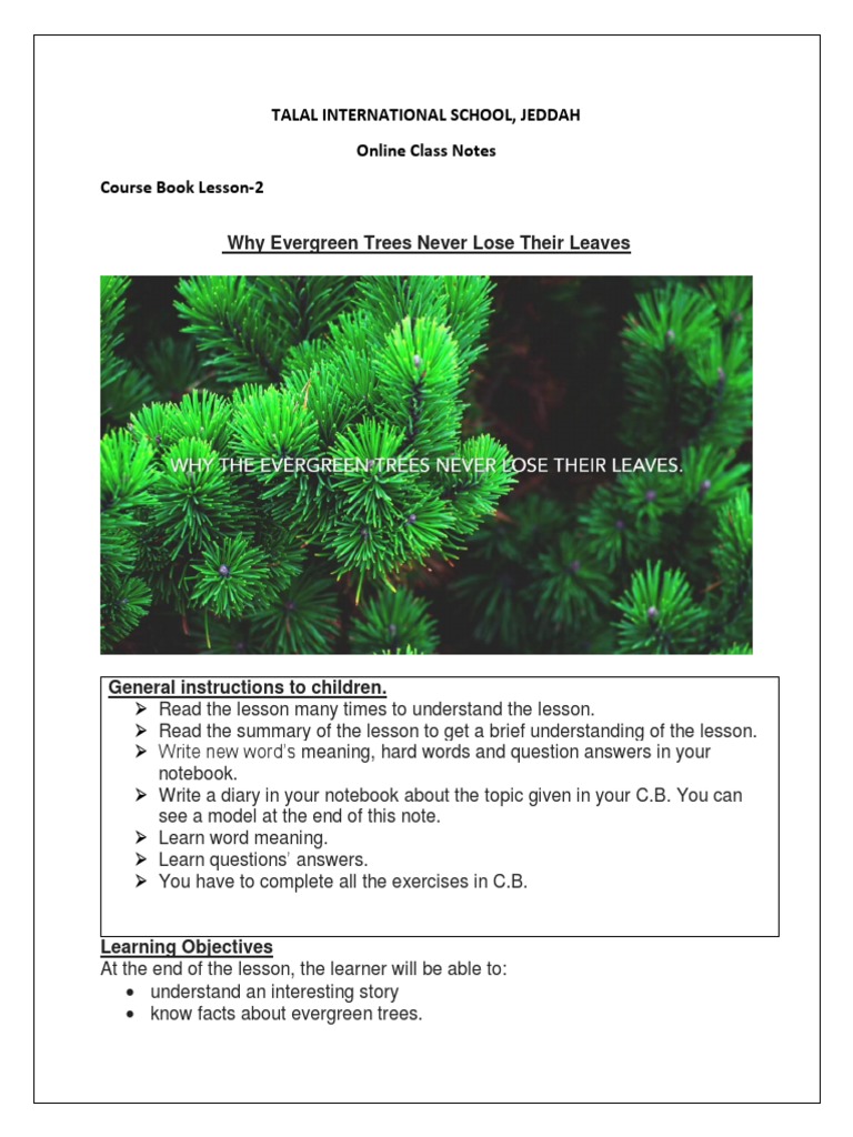 CB Lesson 2 Why Evergreen Trees Never Lose Their Leaves | PDF | Trees