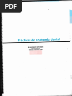 Curva de Spee y Wilson | PDF | Ortodoncia | Odontología