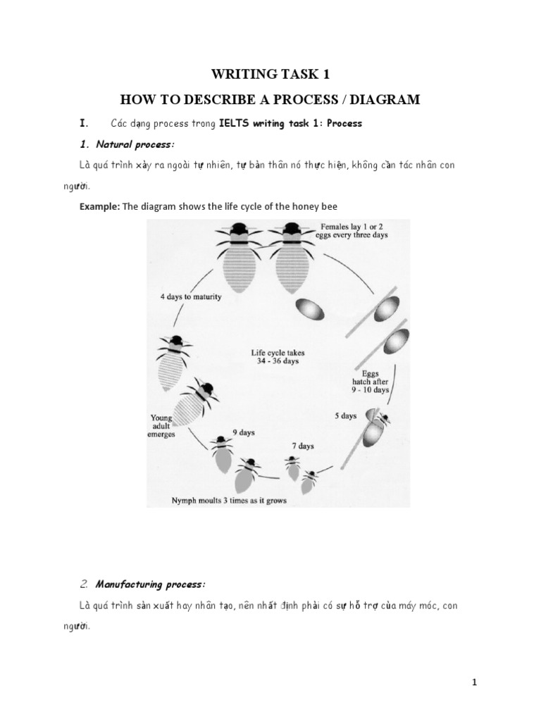 Cách Làm D NG Bài Process | PDF