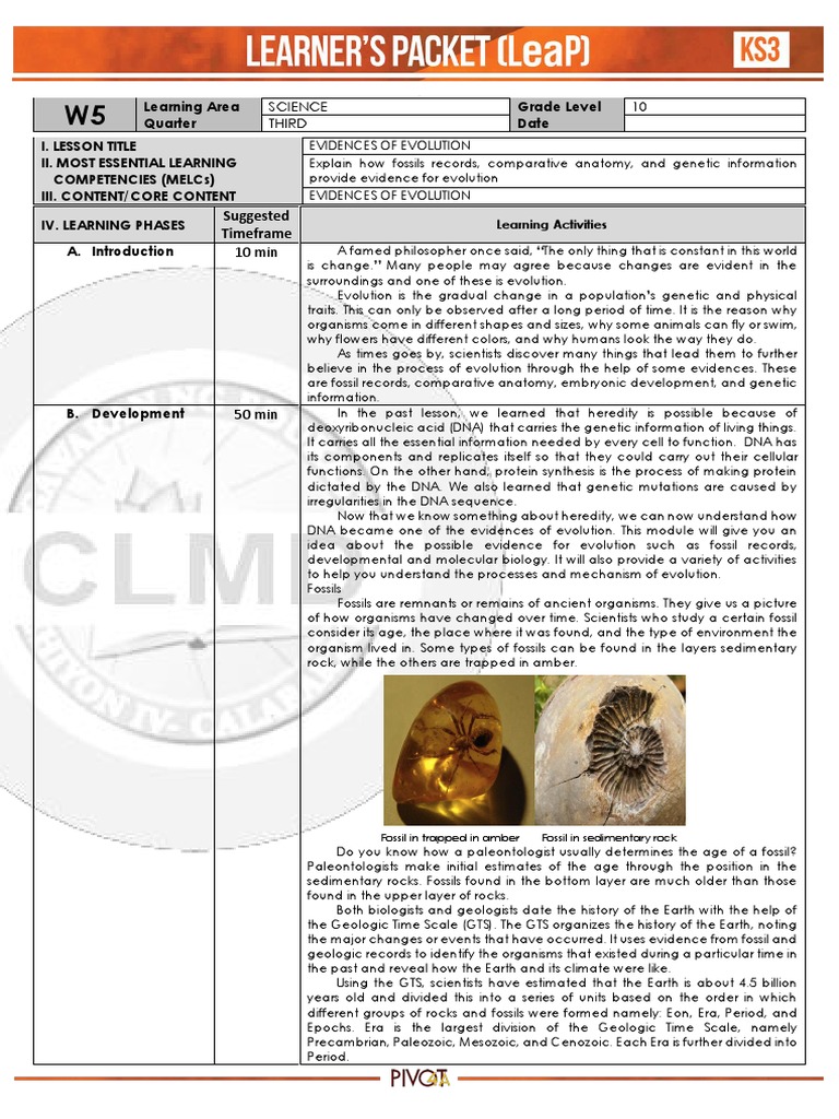Evidence of Evolution for Grade 10 | PDF | Geologic Time Scale | Fossil