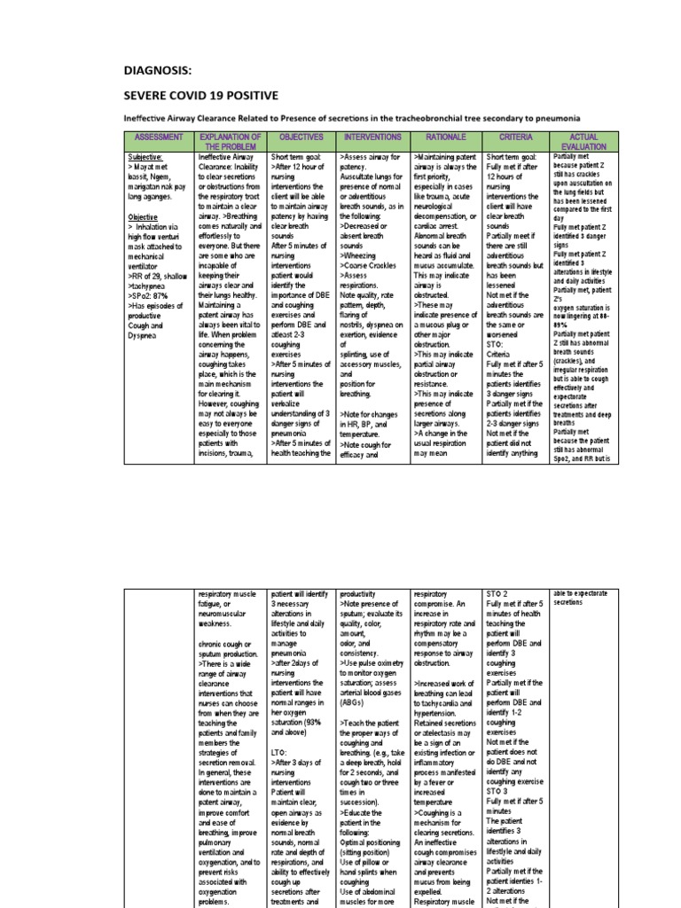 Final NCP | Download Free PDF | Breathing | Respiratory System