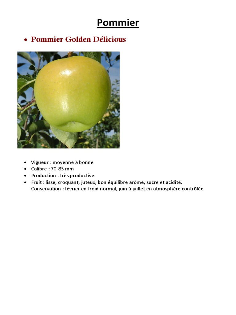 Pommier Golden Délicious : Caractéristiques | PDF
