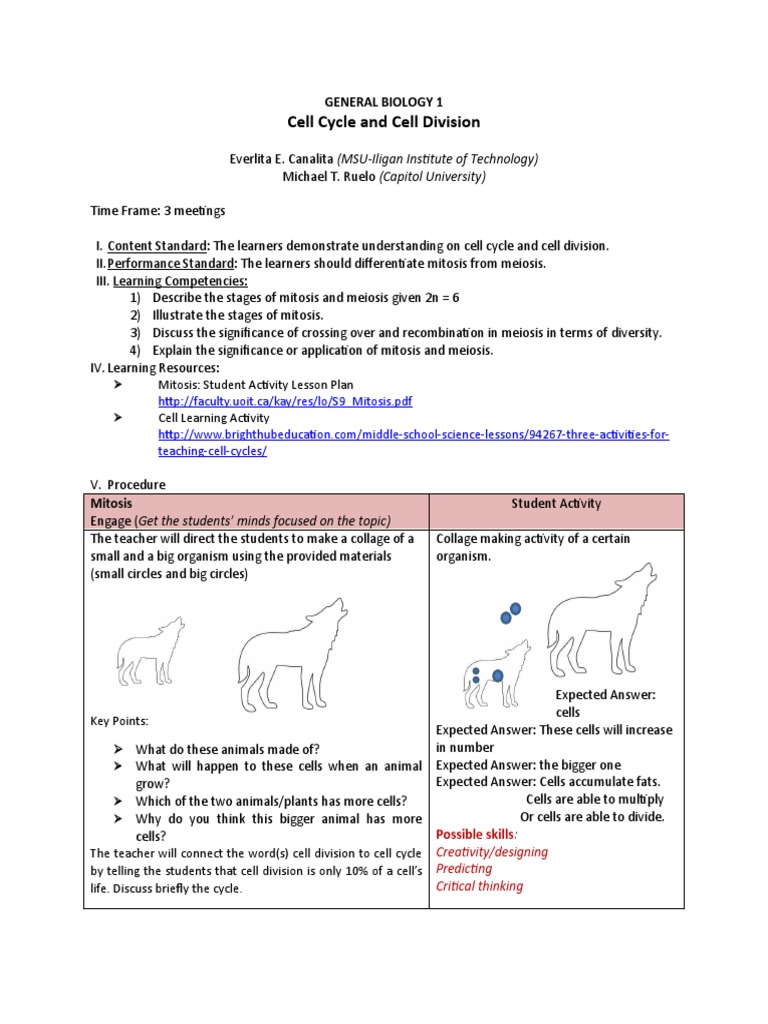 PMAT Stages in Meiosis Explained | PDF | Meiosis | Mitosis