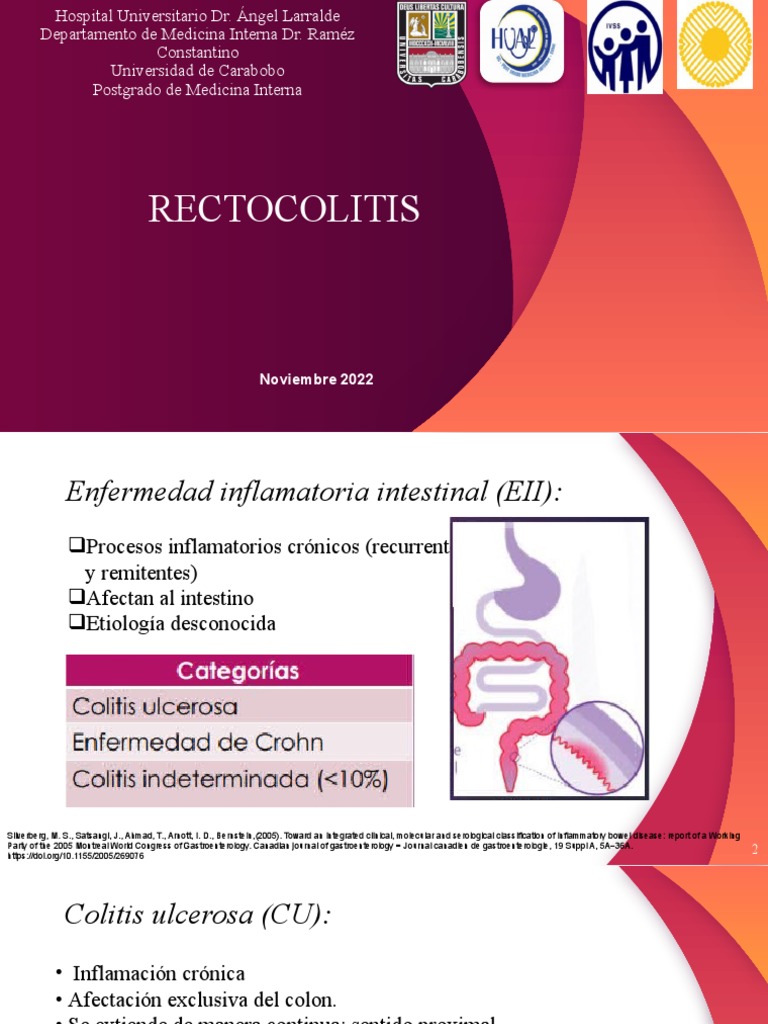 Rectolitis Colitis Ulcerosa | PDF