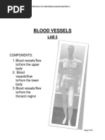 HOSA Forensic Science Practice Test | PDF | Crime Scene | Forensic Science