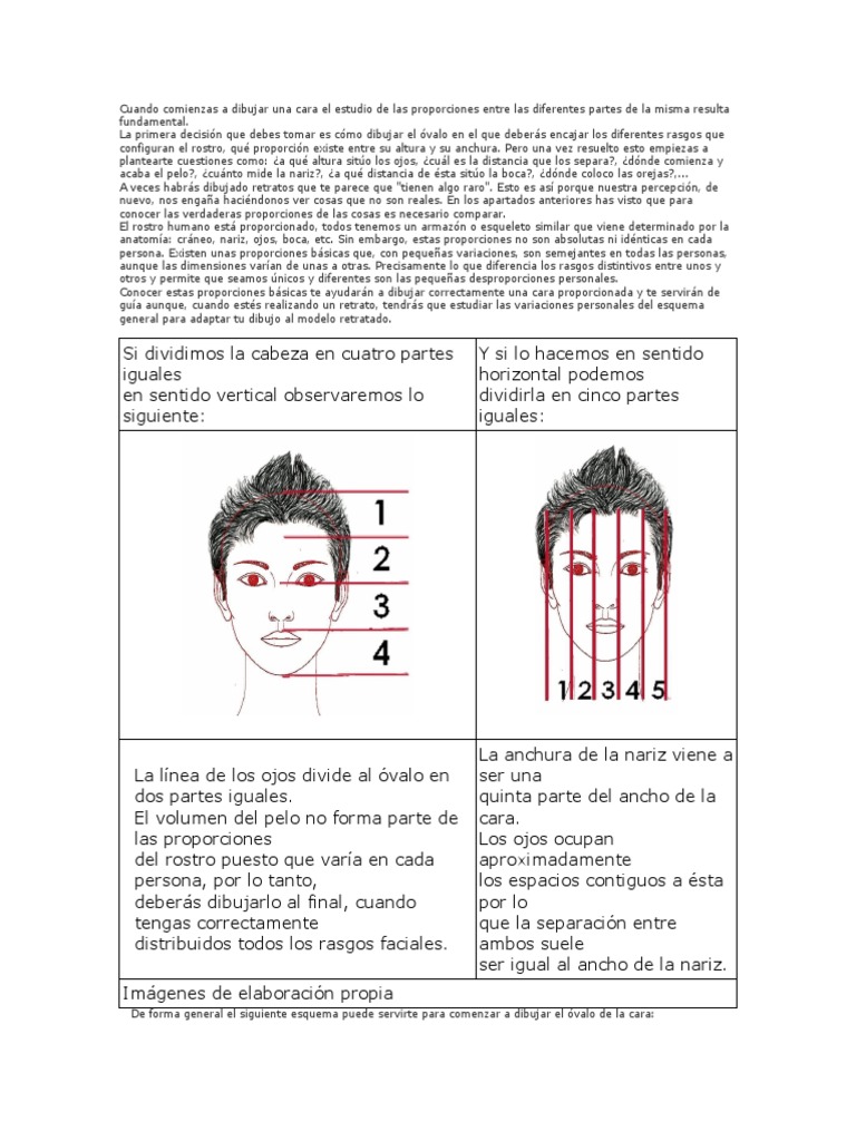 Medidas de El Rostro Humano | PDF | Cara