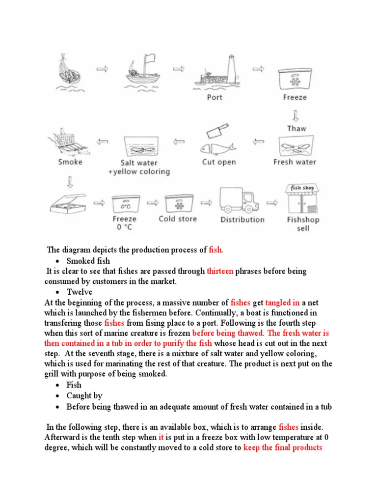 Writing Task 1 Essay 91011 H Corrected | PDF | Olive | Water