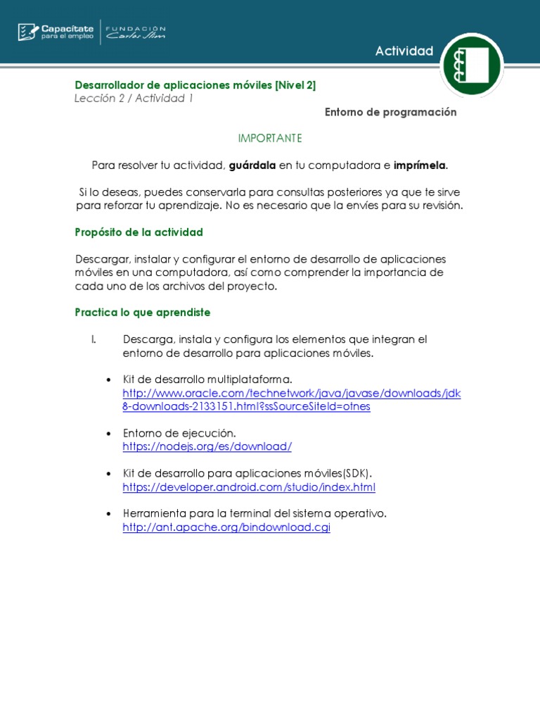 Entorno de Programación | PDF | Software de la aplicacion | Aplicación movil