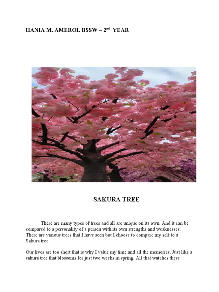 HANIA M. AMEROL BSSW – 2nd YEAR SAKURA TREE | PDF