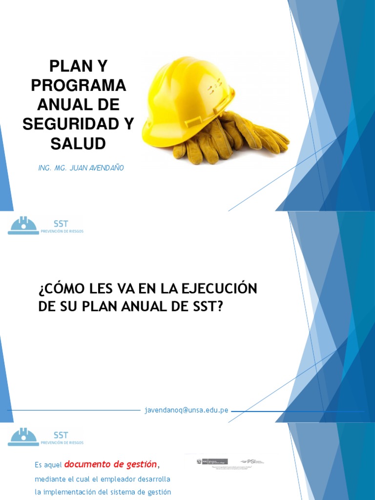 Tema 10 Plan y Programa Anual SST - 001 | PDF | Valores | Planificación