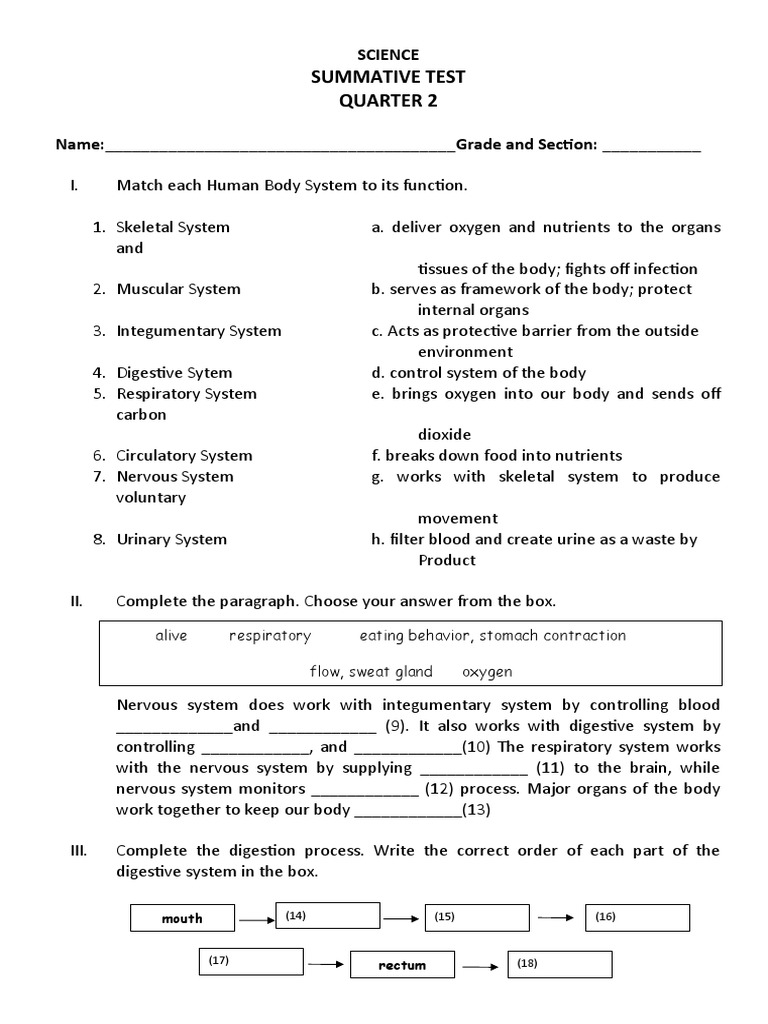 Summative Test Q2 Science2023 | PDF