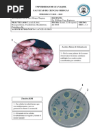 Diaz Apaza Anthony Jesus-Diascopia - Vitropresion | PDF ...
