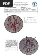Línea Del Tiempo de La Microbiología - 20250122 - 231540 - 0000 | PDF | Microbiología | Adn