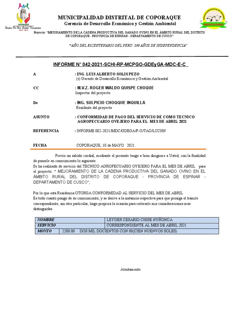 Informe #42 Conformidad Tecnico | PDF