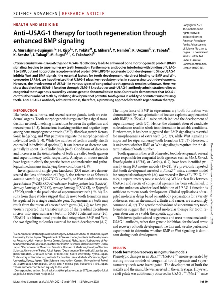 Sciadv Abf1798 | PDF | Monoclonal Antibody | Epitope