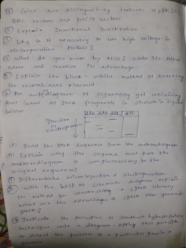 Question Bank BT Chapter 1 | PDF