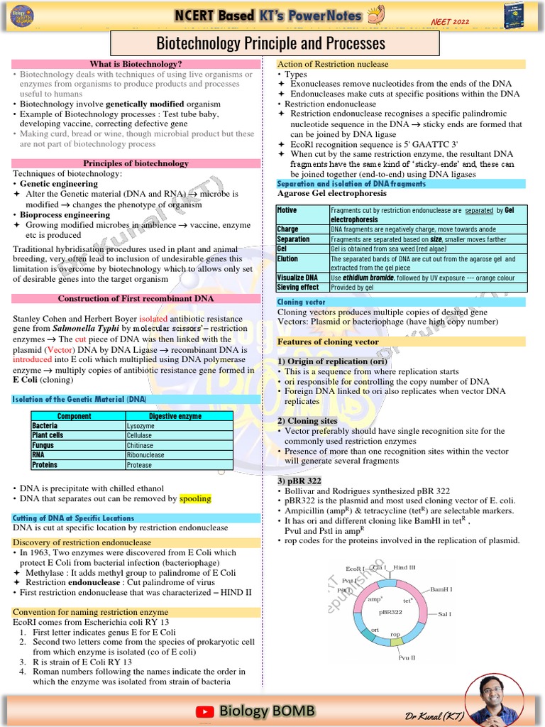 Biotechnology Principles and Processes | PDF | Polymerase Chain ...