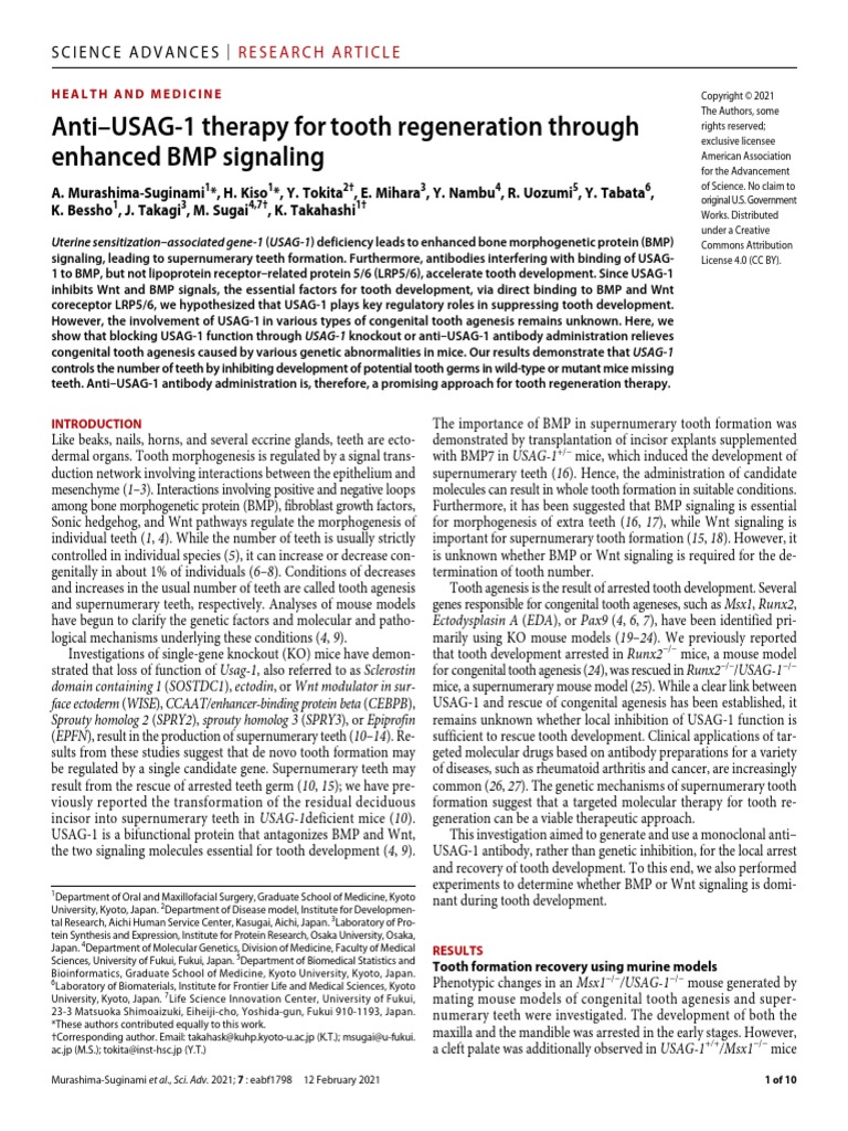 Anti-USAG-1 Therapy For Tooth Regeneration Through | PDF | Monoclonal Antibody | Epitope