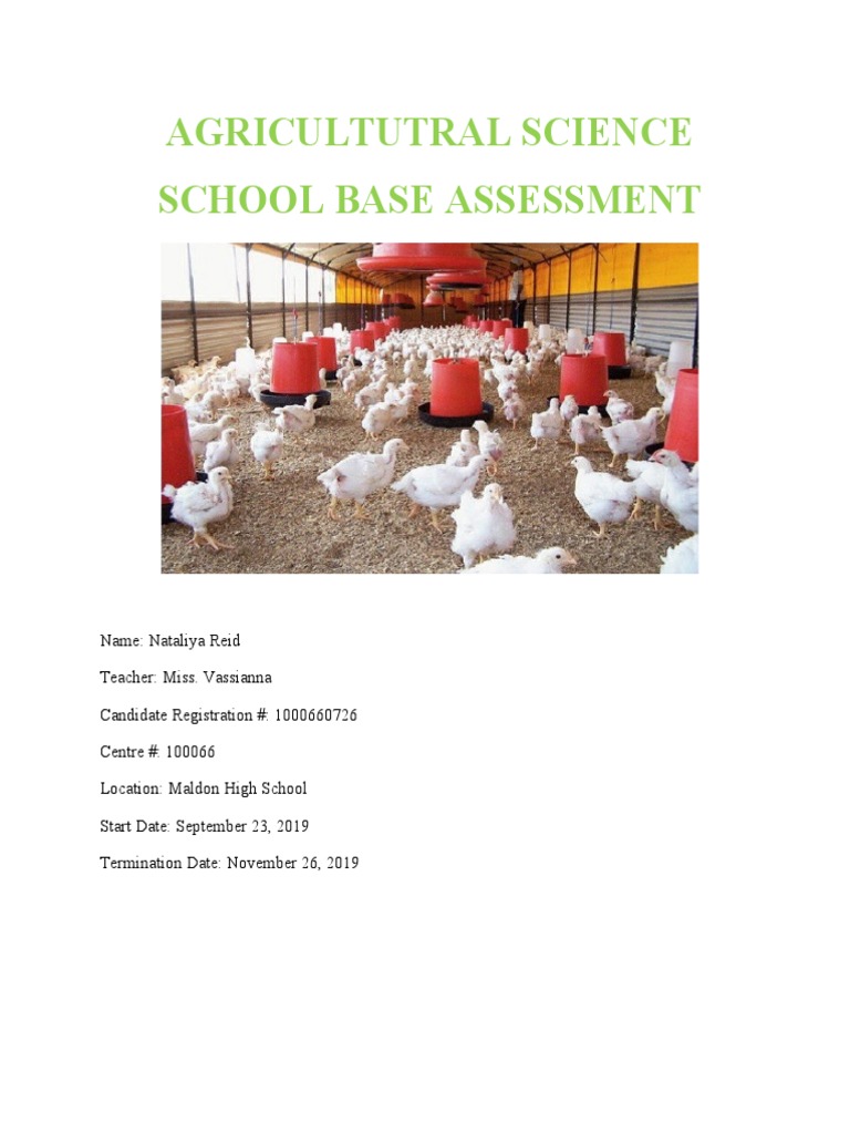 Agricultural Sba Nataliya Reid | PDF | Poultry Farming | Ammonia