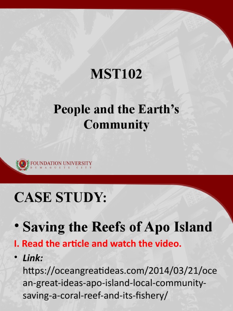 Case Study - Saving The Reefs of Apo Island | PDF