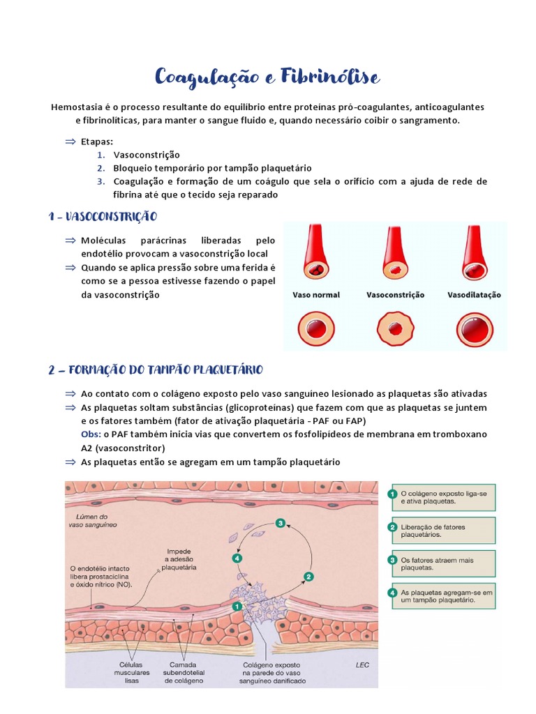 4 Coagulação e Fibrinólise | PDF